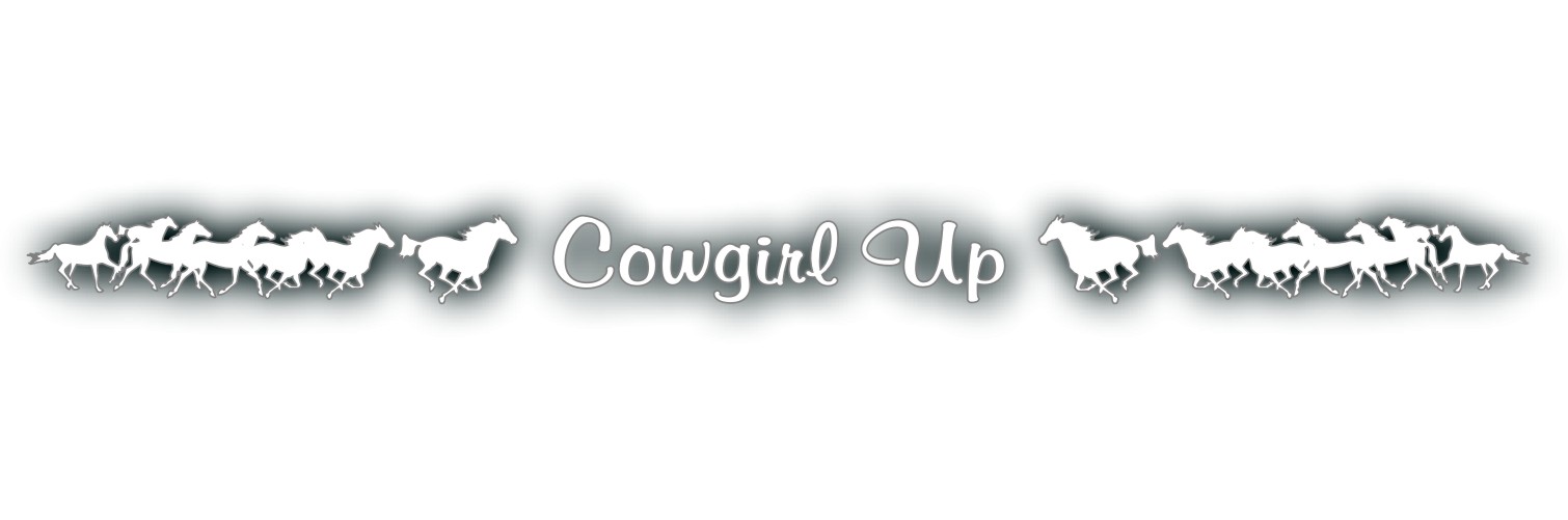 solargraphicsUSA.com - Windshield and One Liner Decals